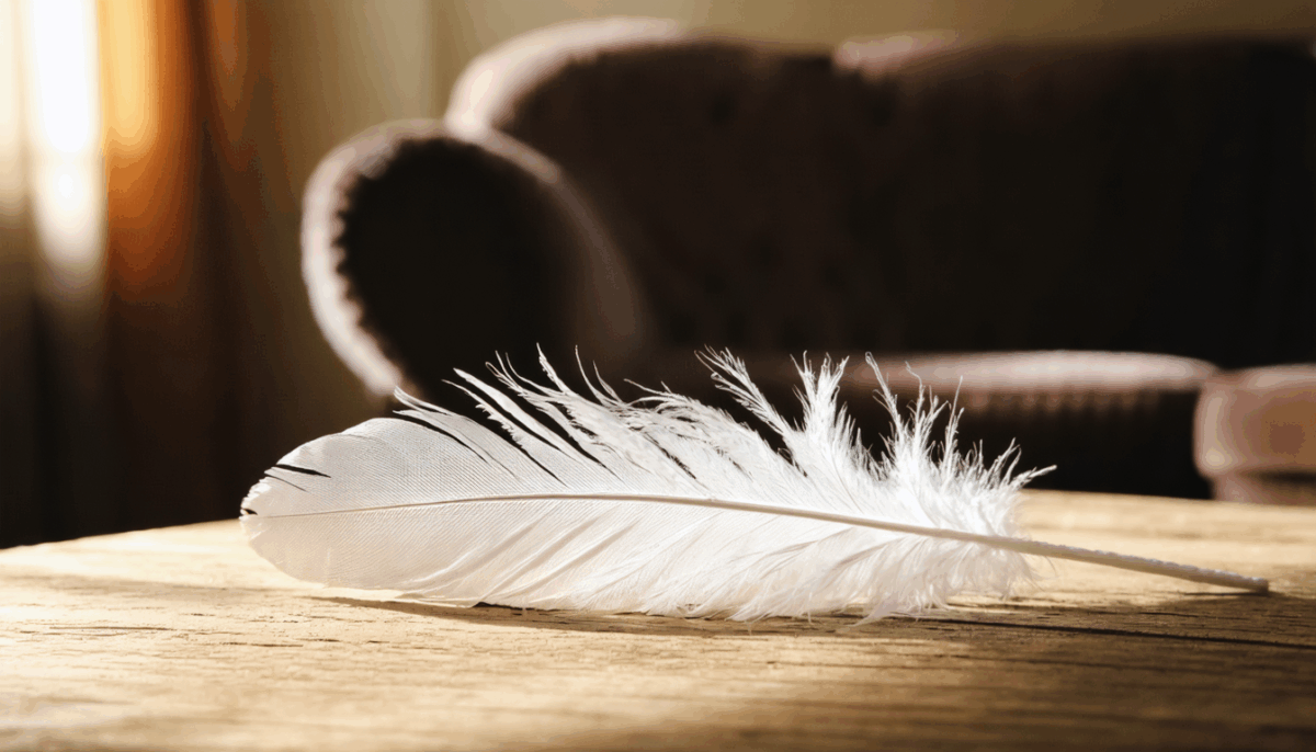 Plume retrouvée à la maison : signes secrets à décrypter